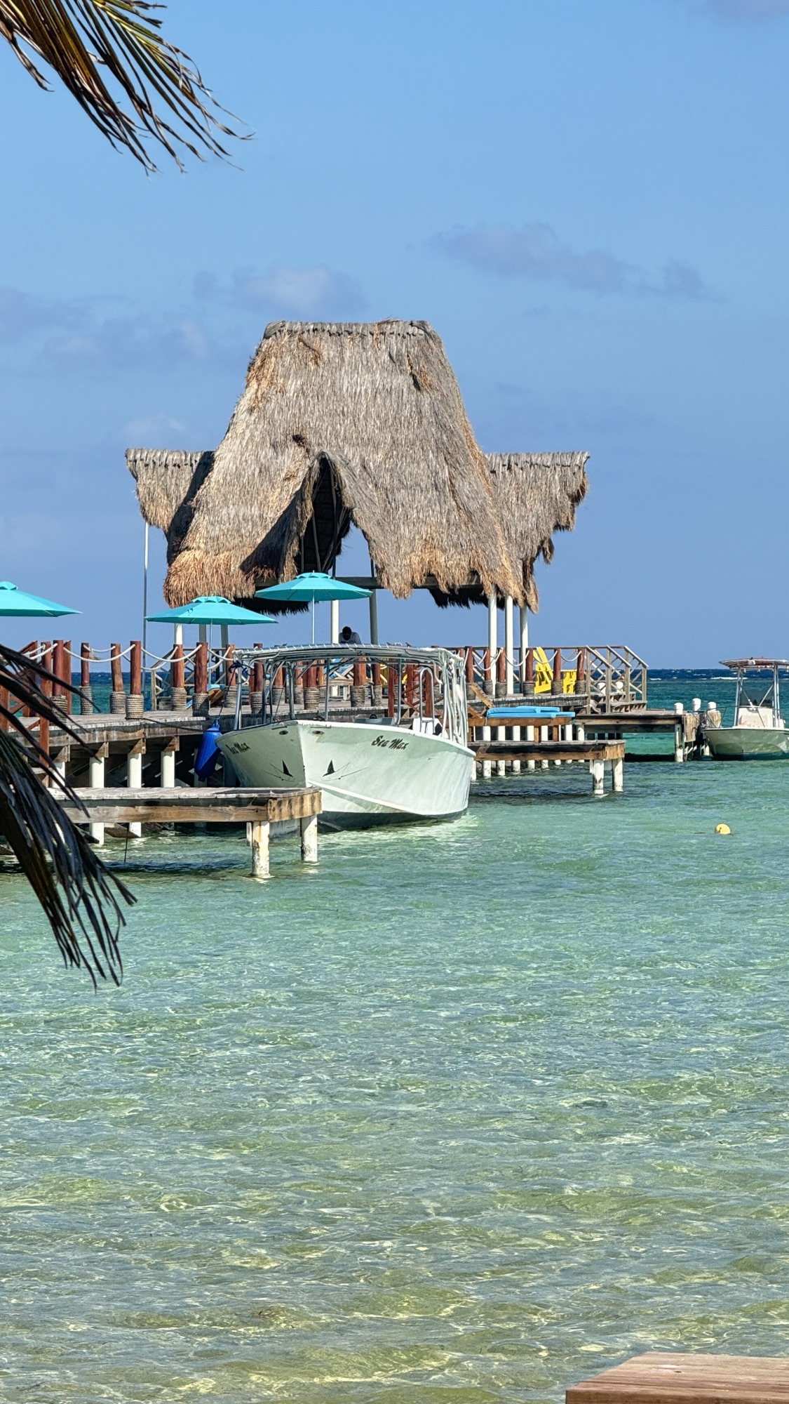 FashionsWeek: Beauty, Fashion, Travel, Tech & Dining By Maya Litovsky ...