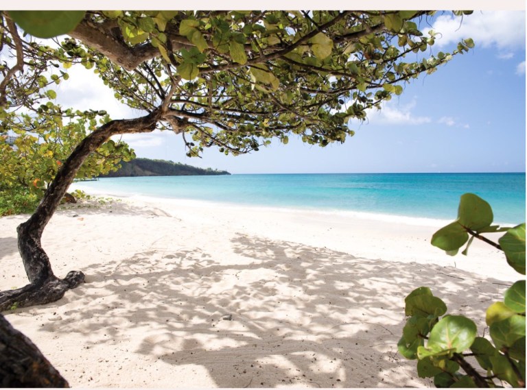 FashionsWeek: Beauty, Fashion, Travel, Tech & Dining By Maya Litovsky ...