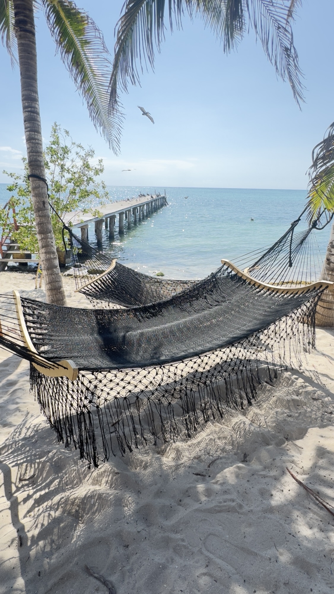 FashionsWeek: Beauty, Fashion, Travel, Tech & Dining By Maya Litovsky ...